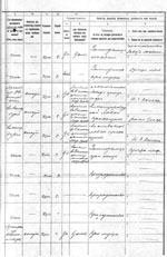 Материалы: Всероссийская перепись населения 1897 года (редакция Литеры Ру)